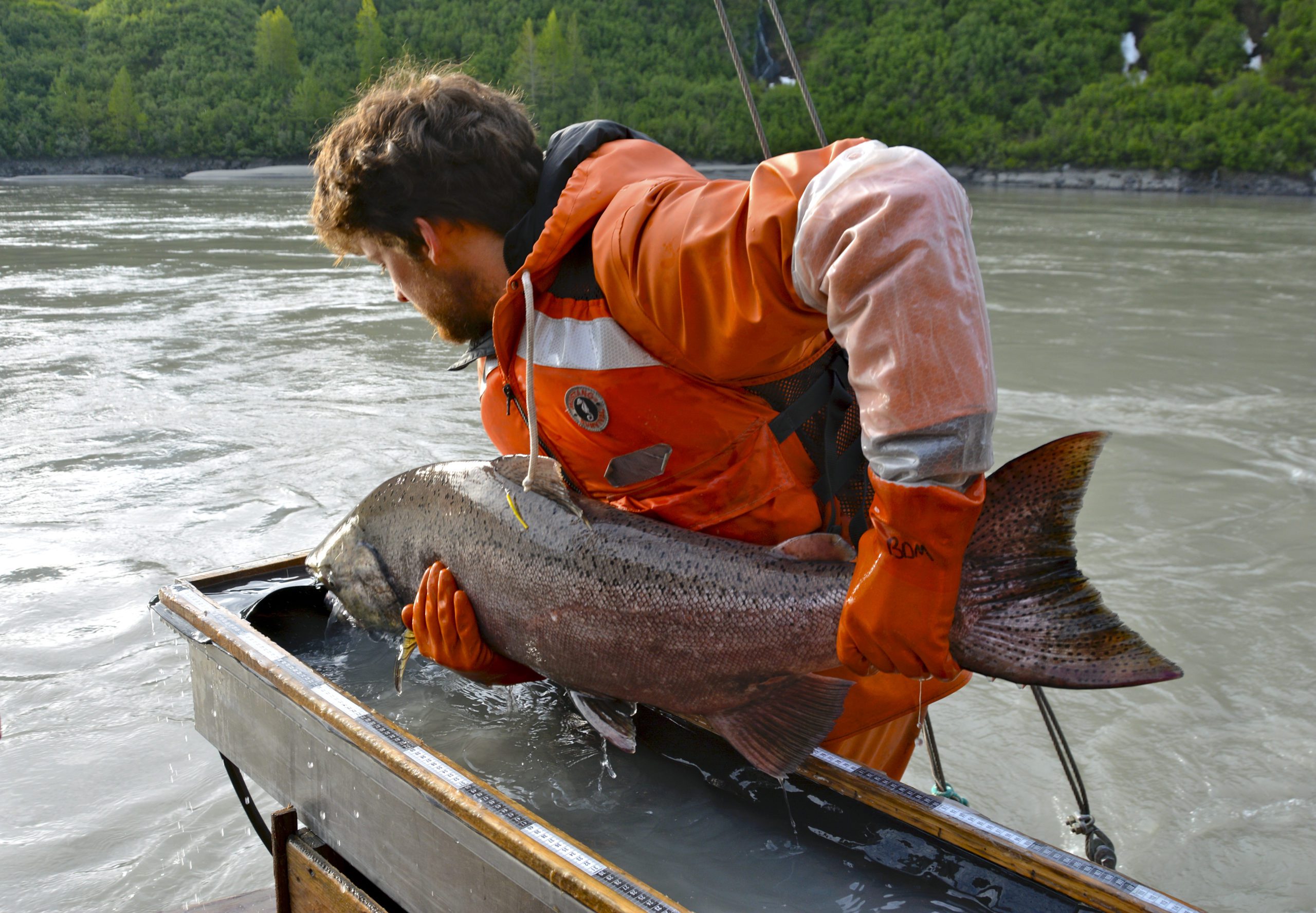 Native Village of Eyak - DENR