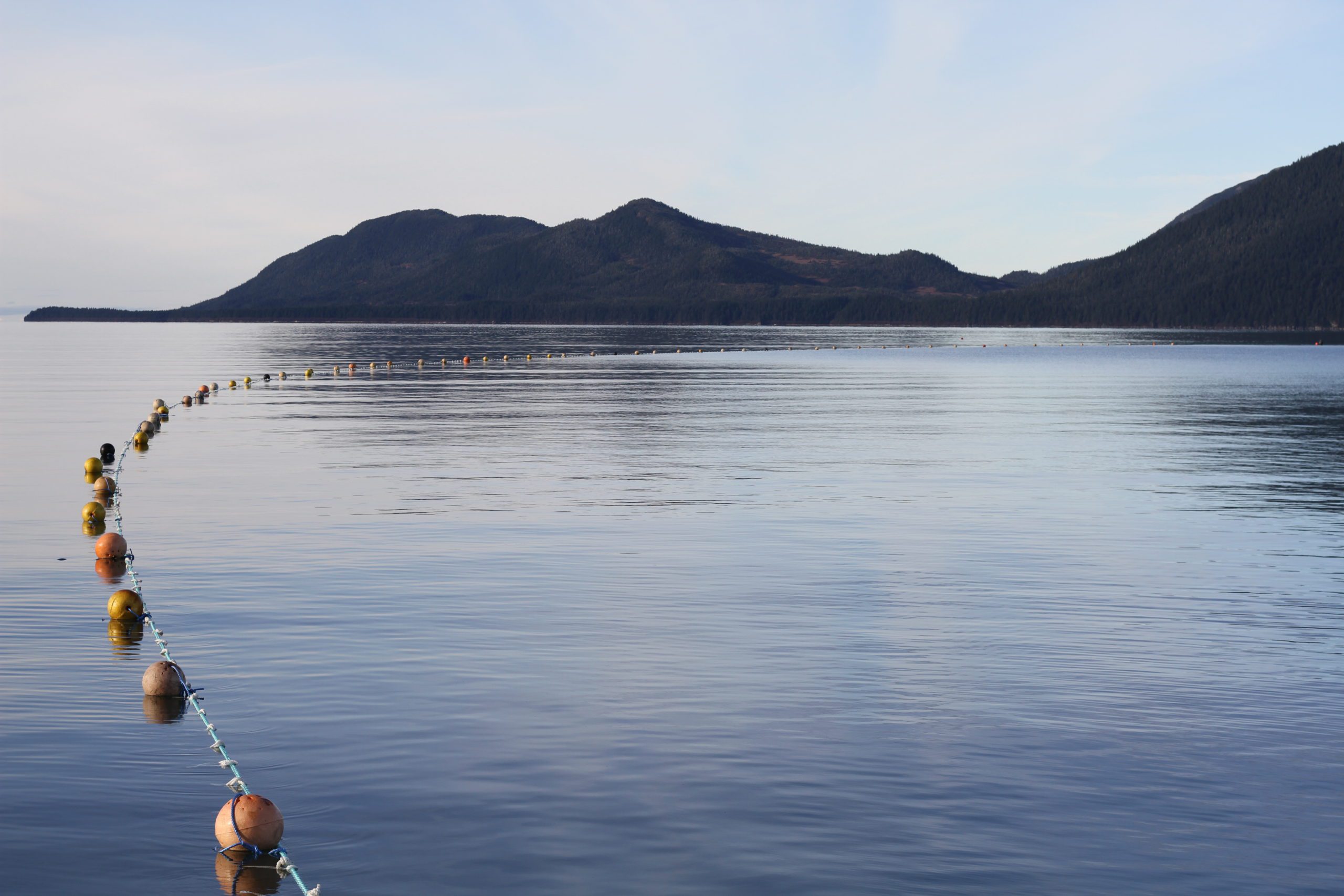 Native Village of Eyak - Mariculture Research