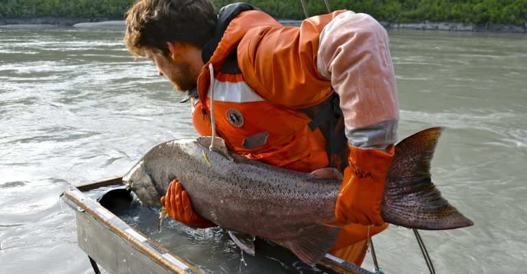 Native Village of Eyak - Programs